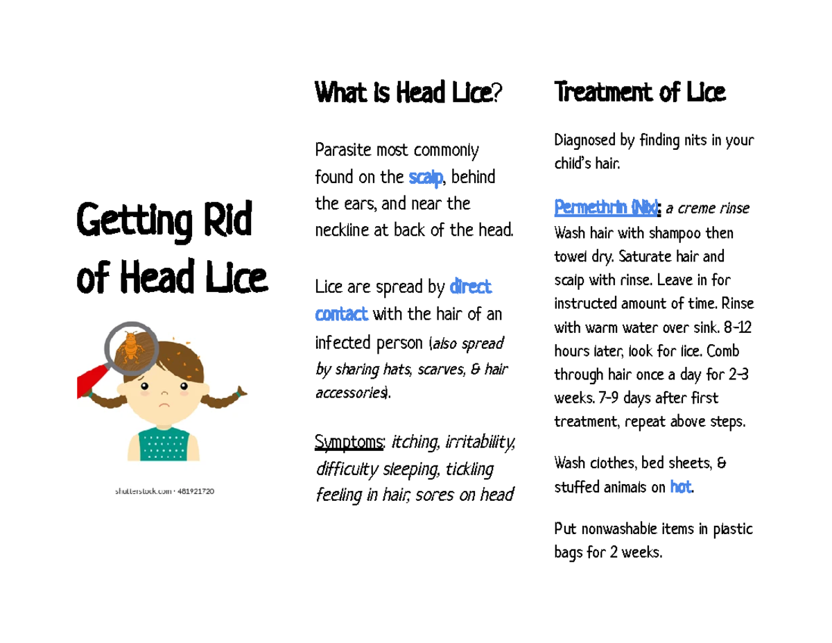 Getting Rid of Head Lice Pamphlet - Getting Rid of Head Lice What is ...