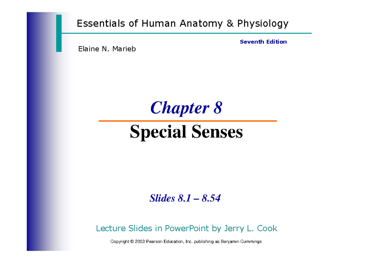 Human Anatomy & Physiology: Special Senses Chapter 8 Notes - Studocu