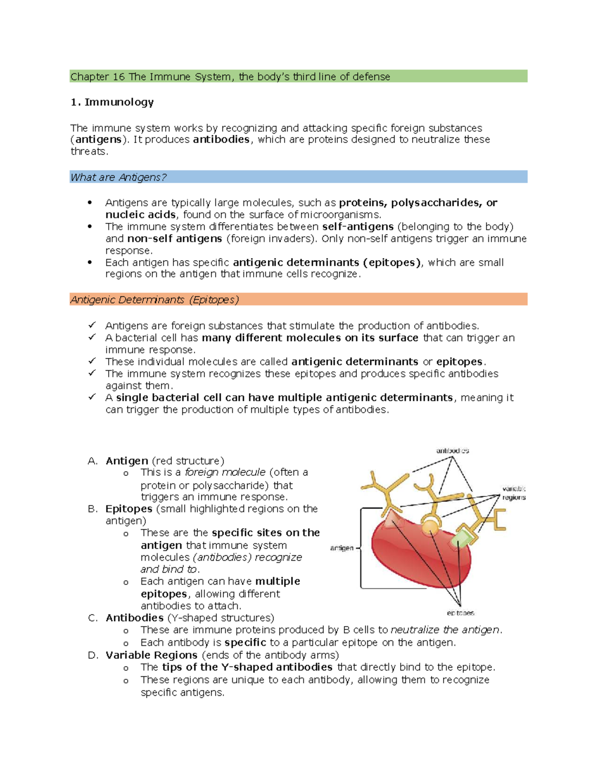 Immunology 101: Chapter 16 - The Immune System Overview and Functions - Studocu