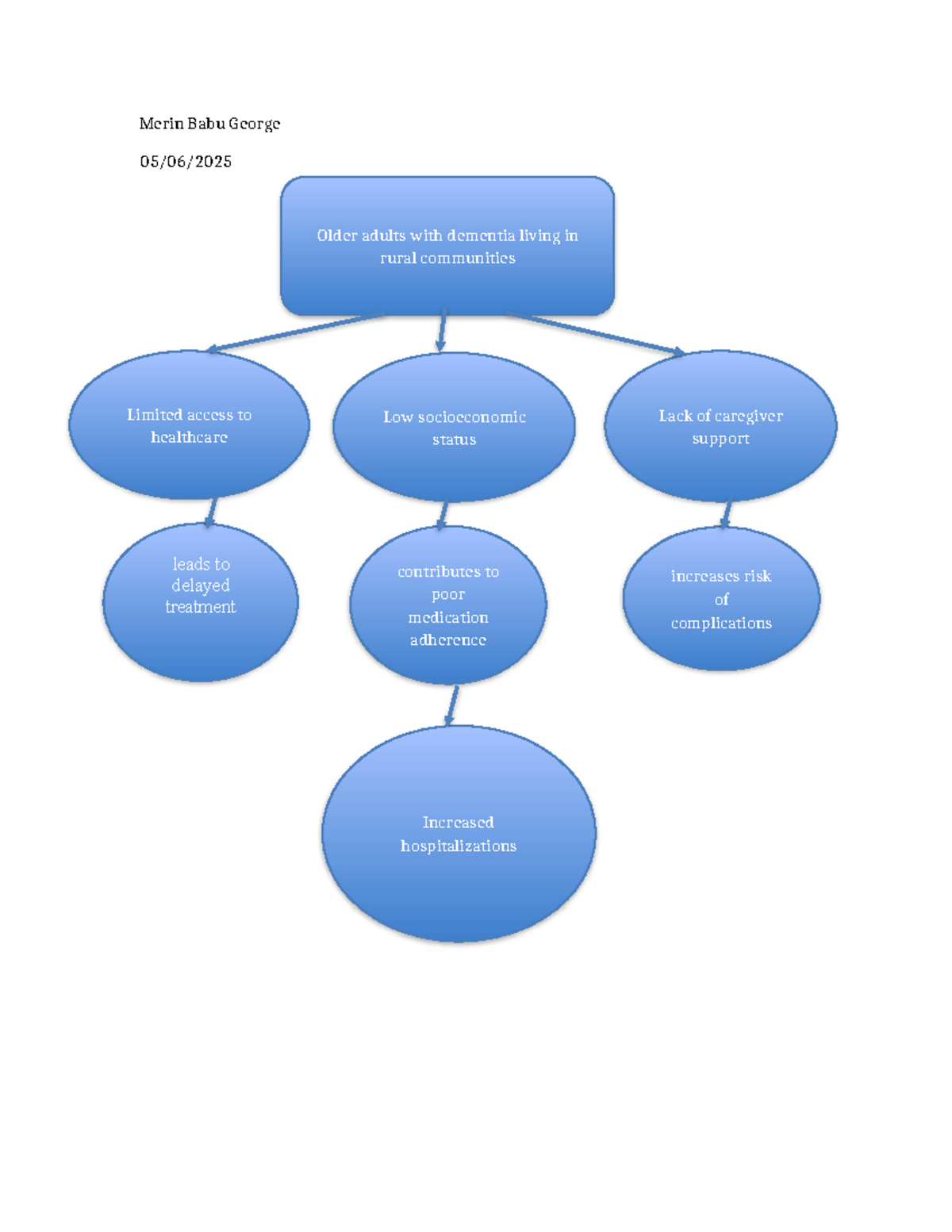 Babu George Concept Map Vulnerable Population - NR-518 - Merin Babu ...
