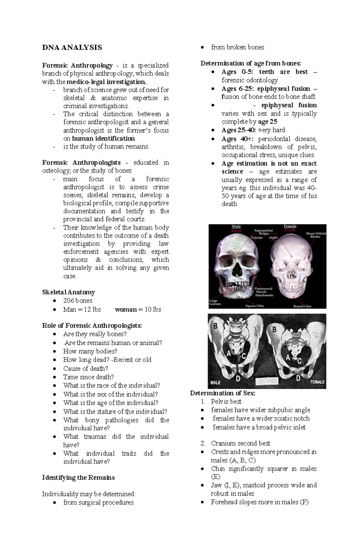 DNA- Analysis - final file - DNA ANALYSIS Forensic Anthropology - is a ...