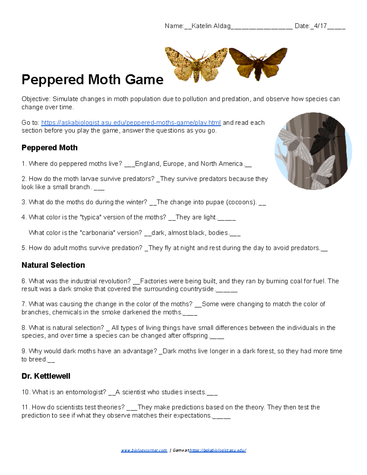 Copy of Peppered Moth Game - Name:Katelin Aldag_______________ Date:4/17____ Peppered Moth Game ...