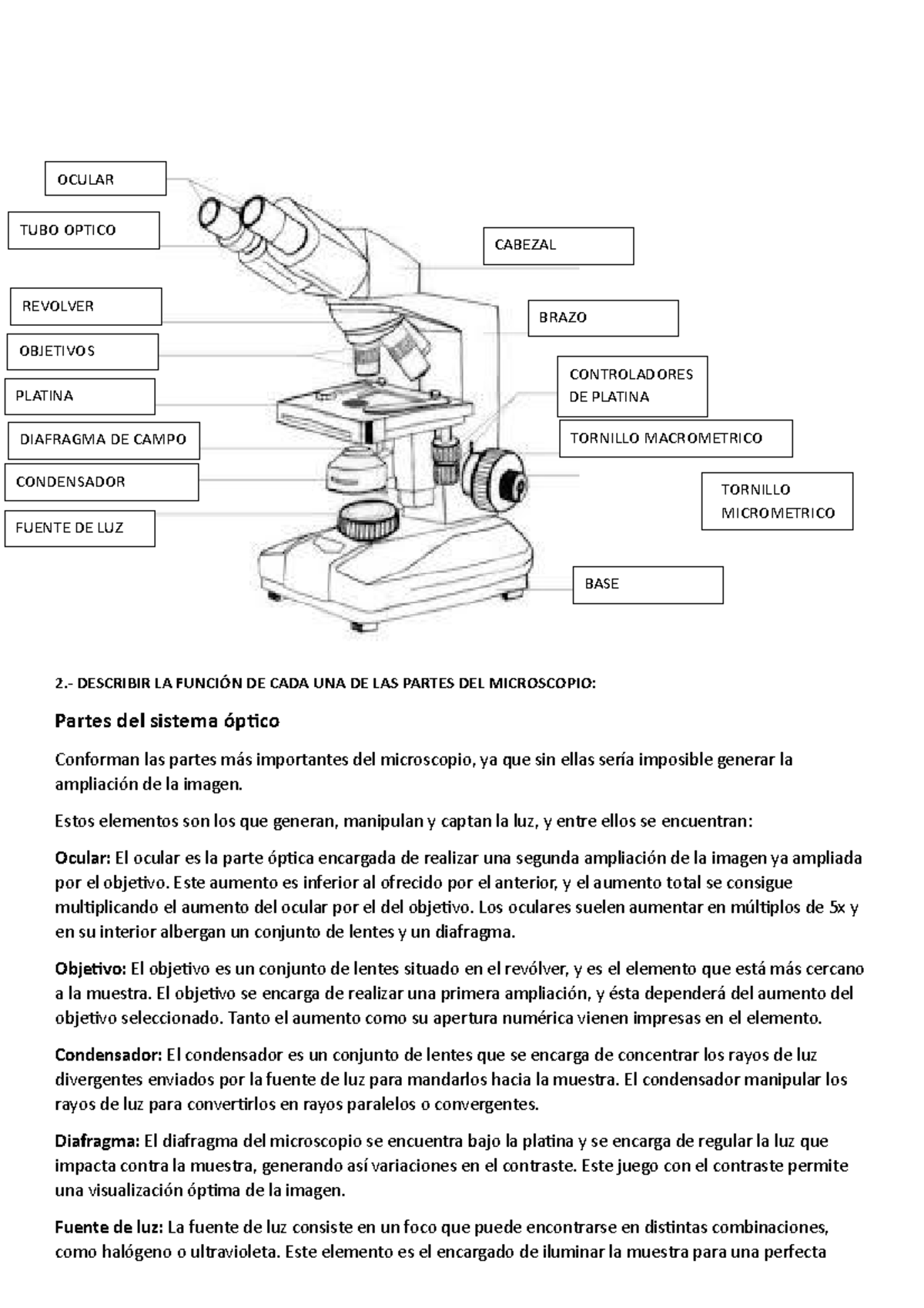 Partes del Microscopio: Funciones y Componentes Esenciales - Studocu
