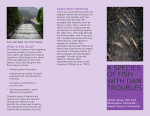 FIN 210 Financial Portfolio Project Part 1: Summary Insights - Studocu