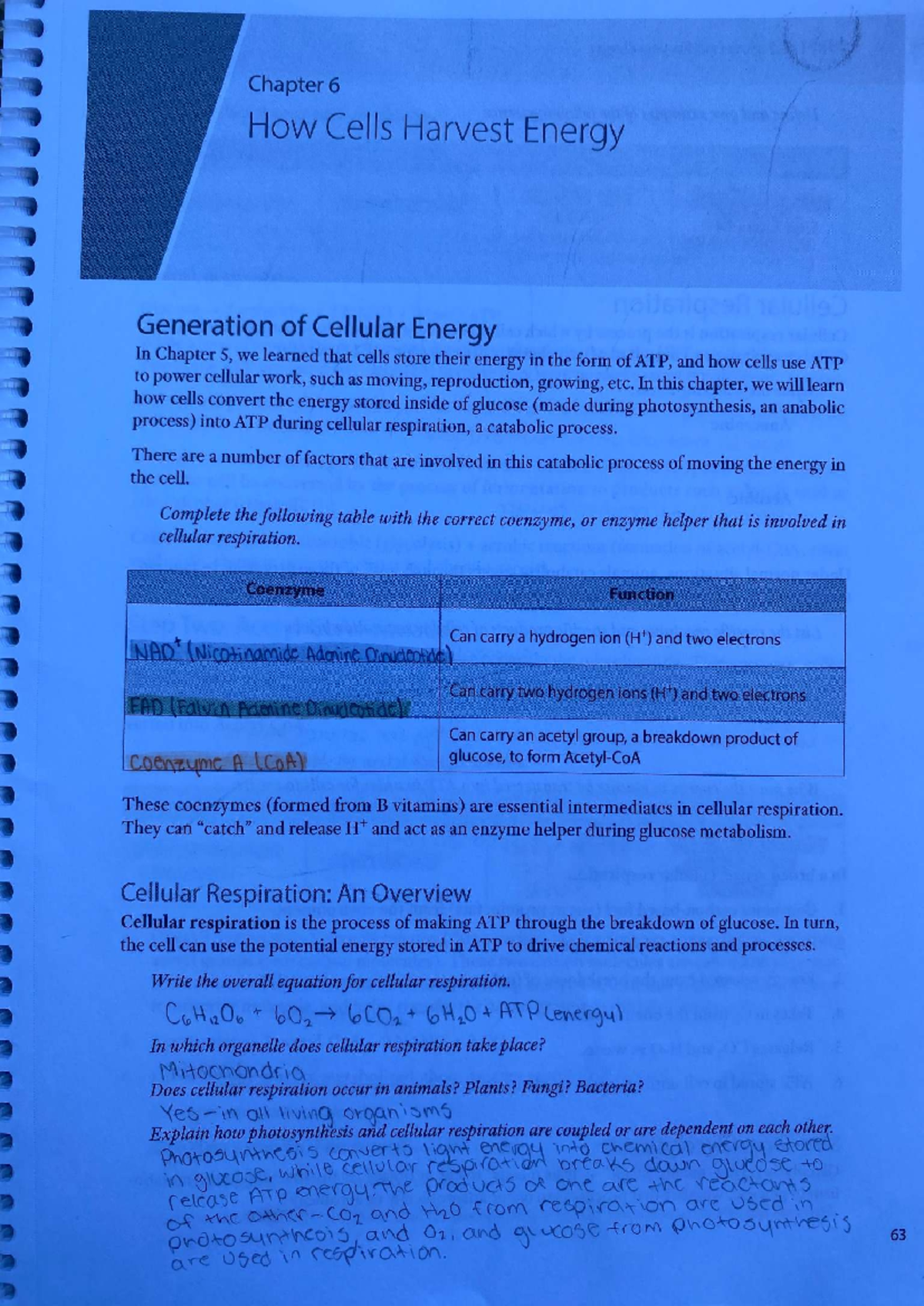 Chapter 6: How Cells Harvest Energy - Cellular Respiration Overview ...