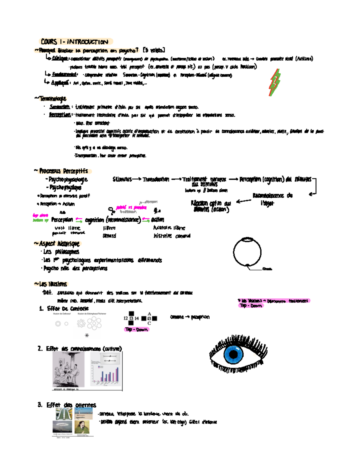 Révision Examen Final - Perception (PSY 13) - Notes Comprehensives ...