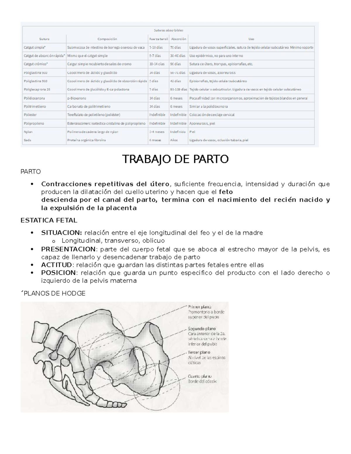 Trabajo de Parto: Fases y Estática Fetal en el Proceso de Nacimiento ...