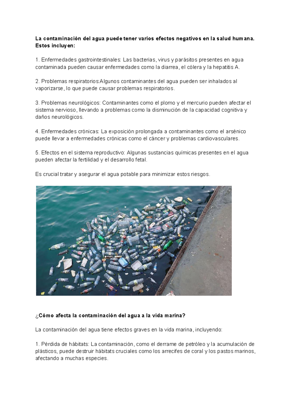 ecosistemas marinos - La contaminación del agua puede tener varios ...