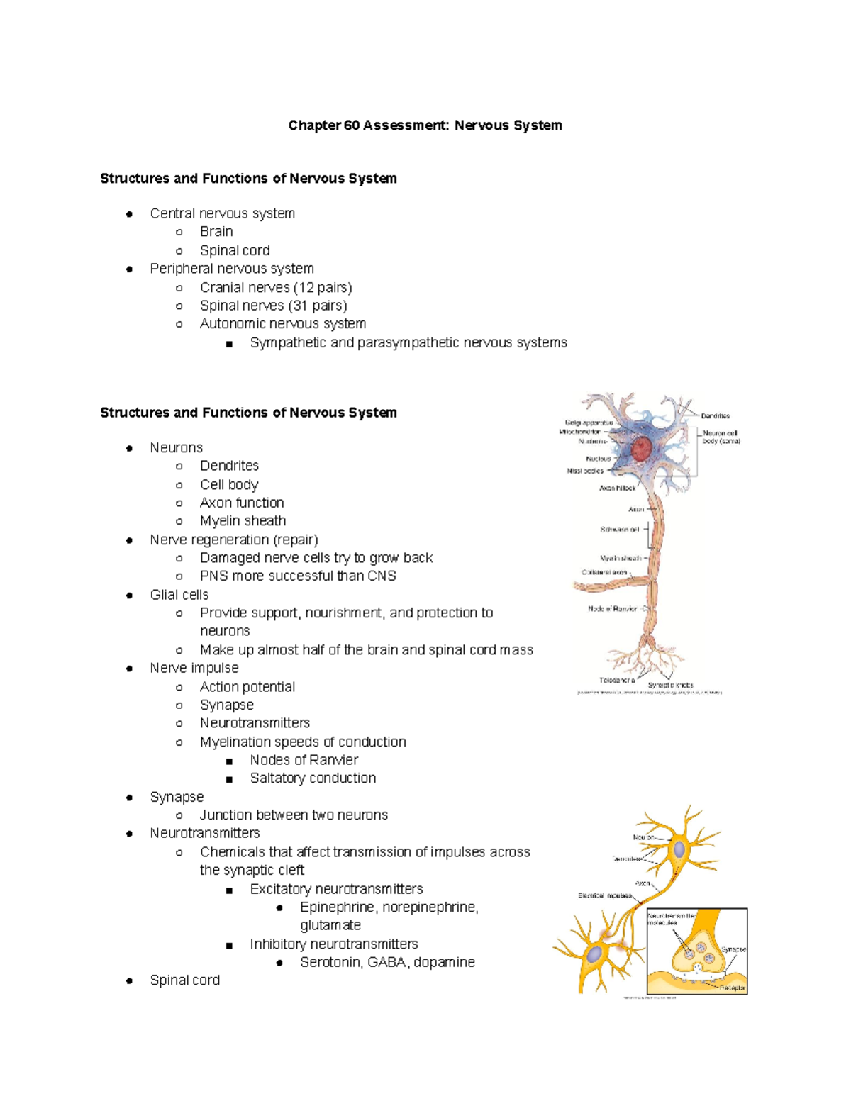 E1 Chapter 60 Assessment: Comprehensive Nervous System Overview - Studocu