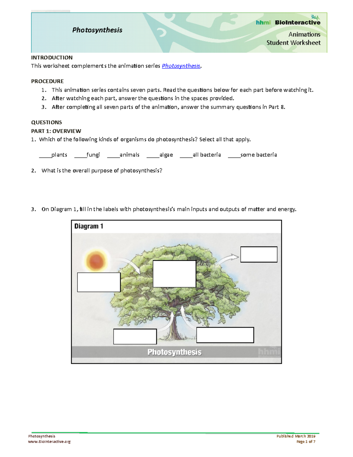 Chapter 10 Interactive Study Guide: Photosynthesis Overview and ...