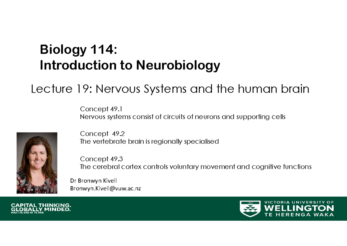 Biology 114: Neurobiology Lecture 19 - Nervous Systems & Human Brain ...
