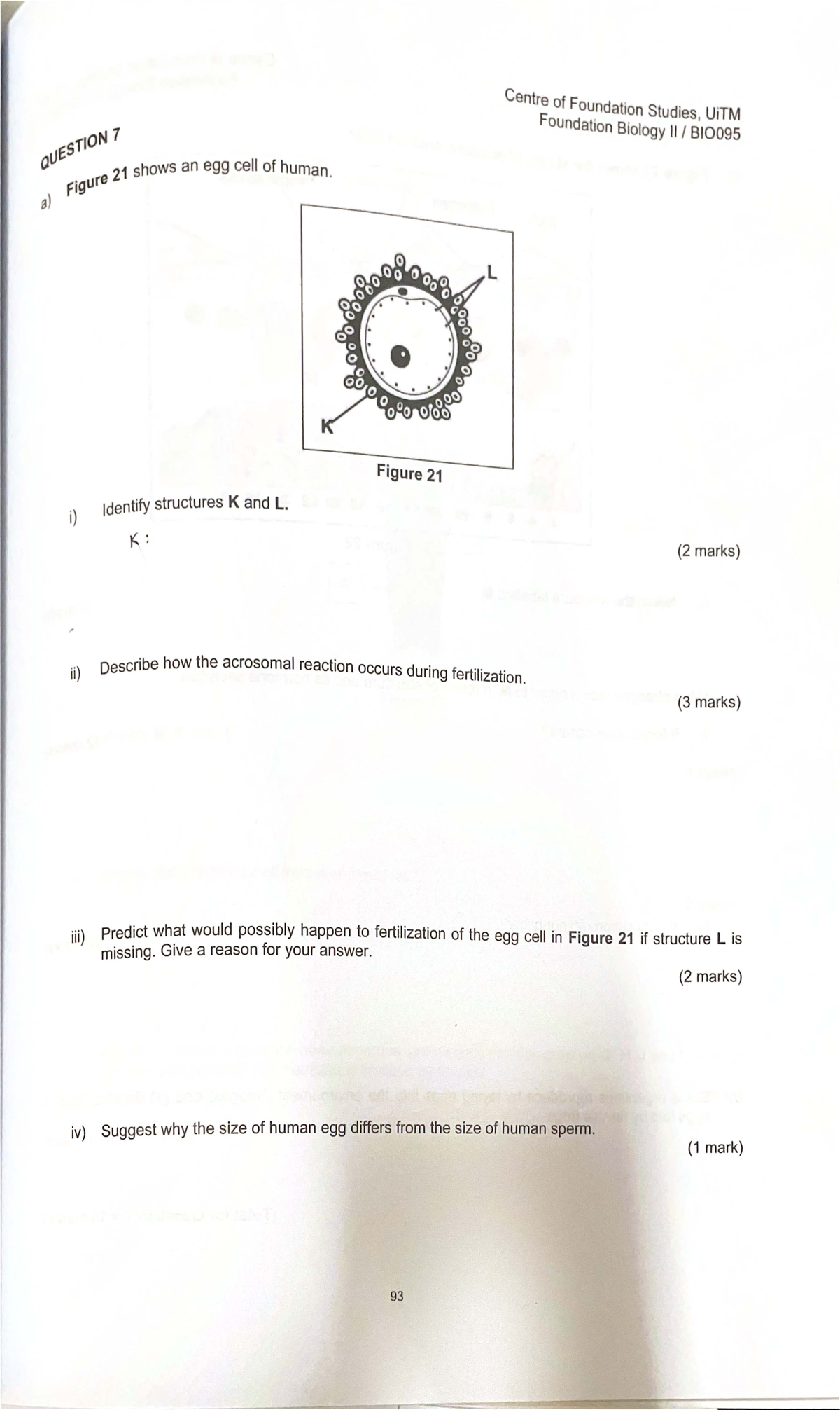 Foundation Biology II BIO095 Tutorial on Human Reproduction and ...