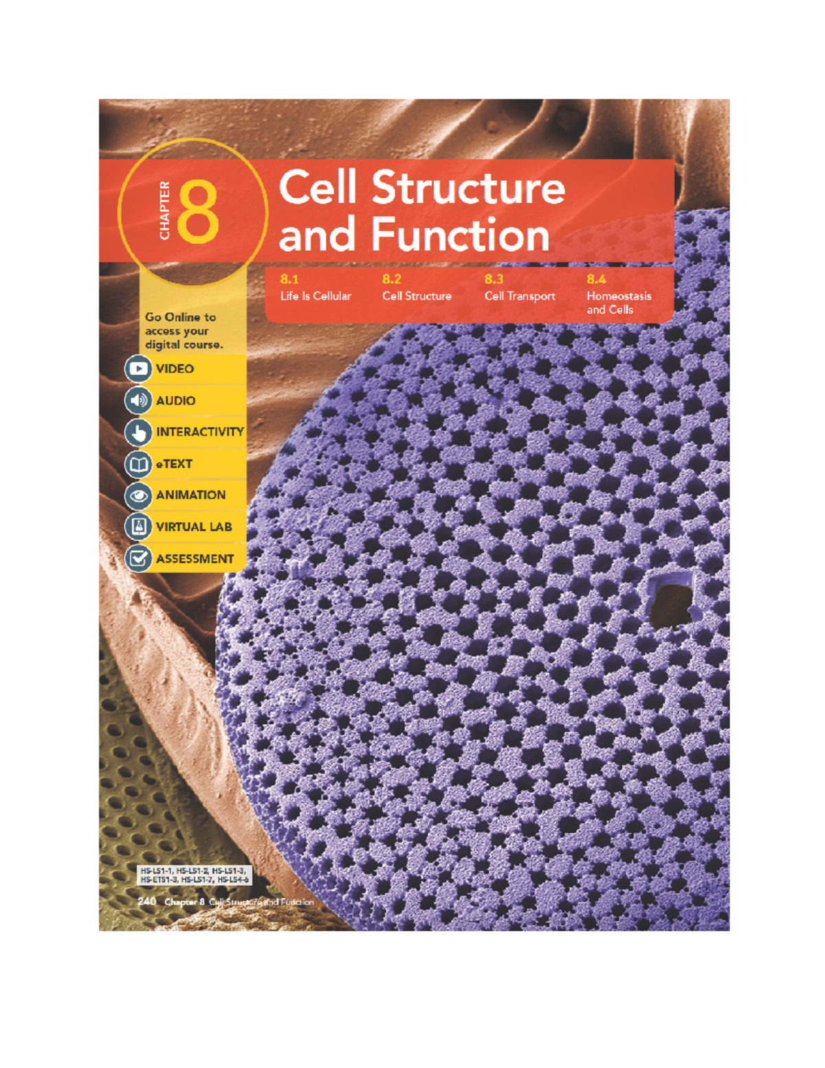 Cell Structure and Function: HS-LS1-2 Overview and Key Processes ...