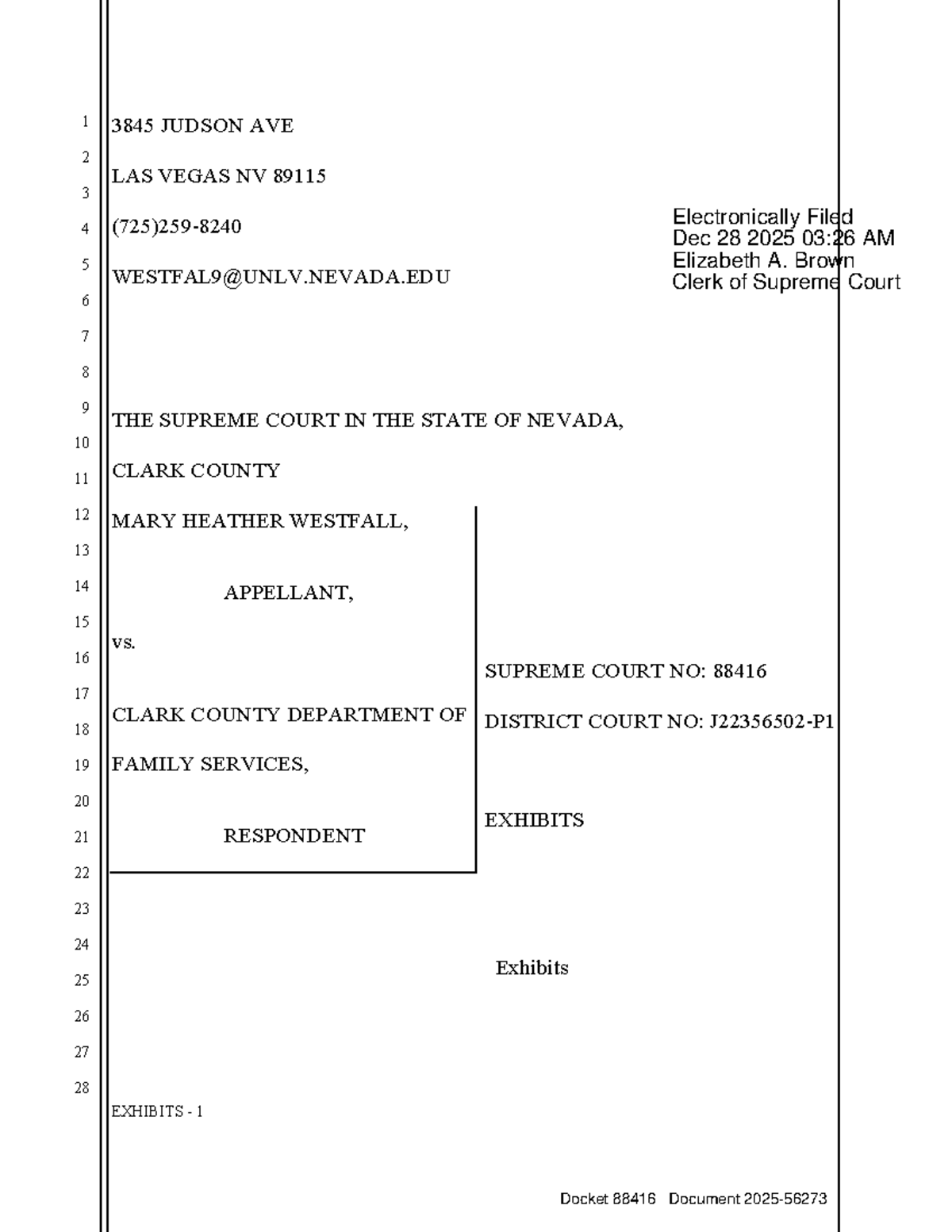 Exhibit C: Report on Wrongful Termination of Parental Rights - Case No ...