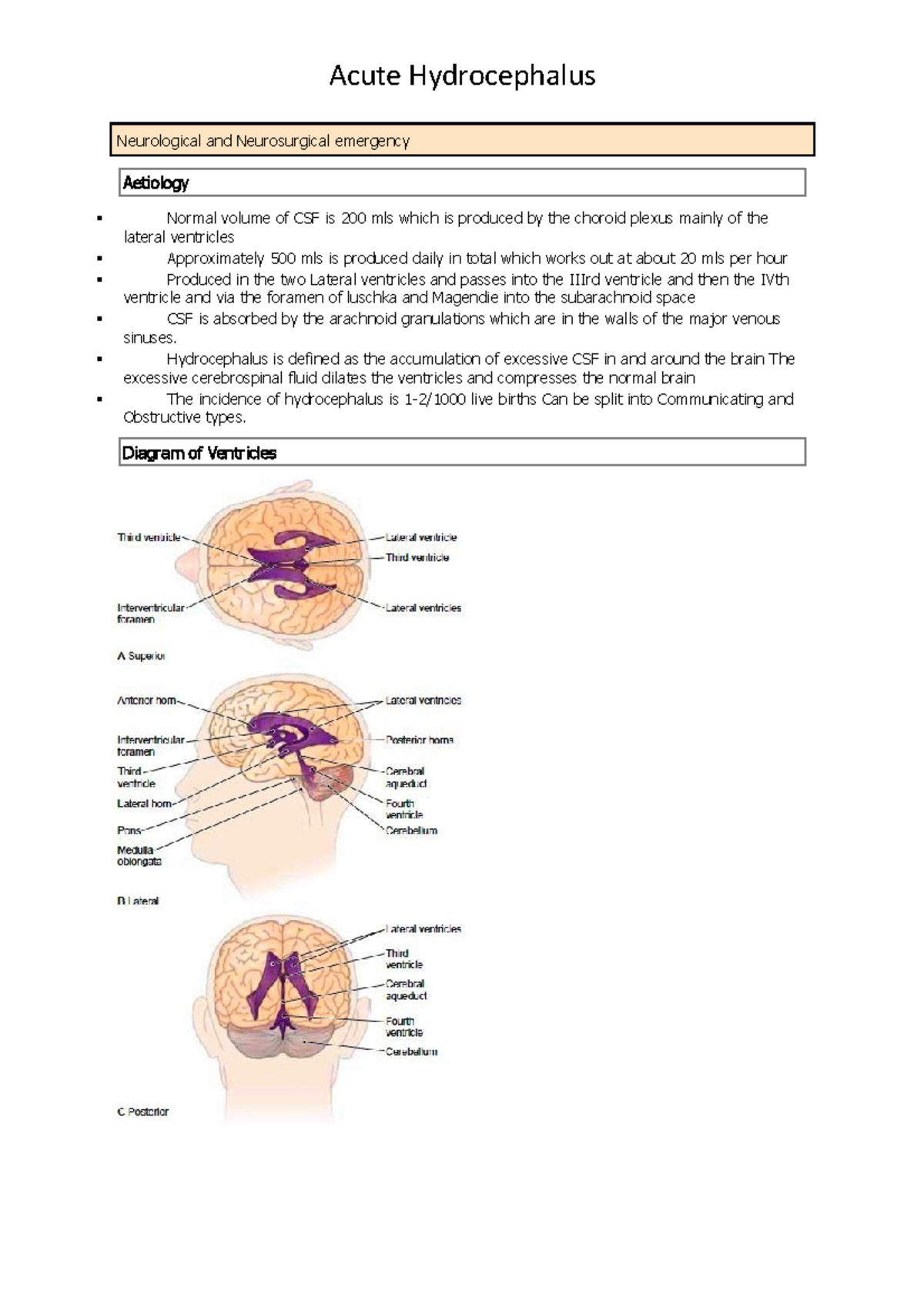 Acute Hydrocephalus - Lecture notes 1 - Neurological and Neurosurgical ...
