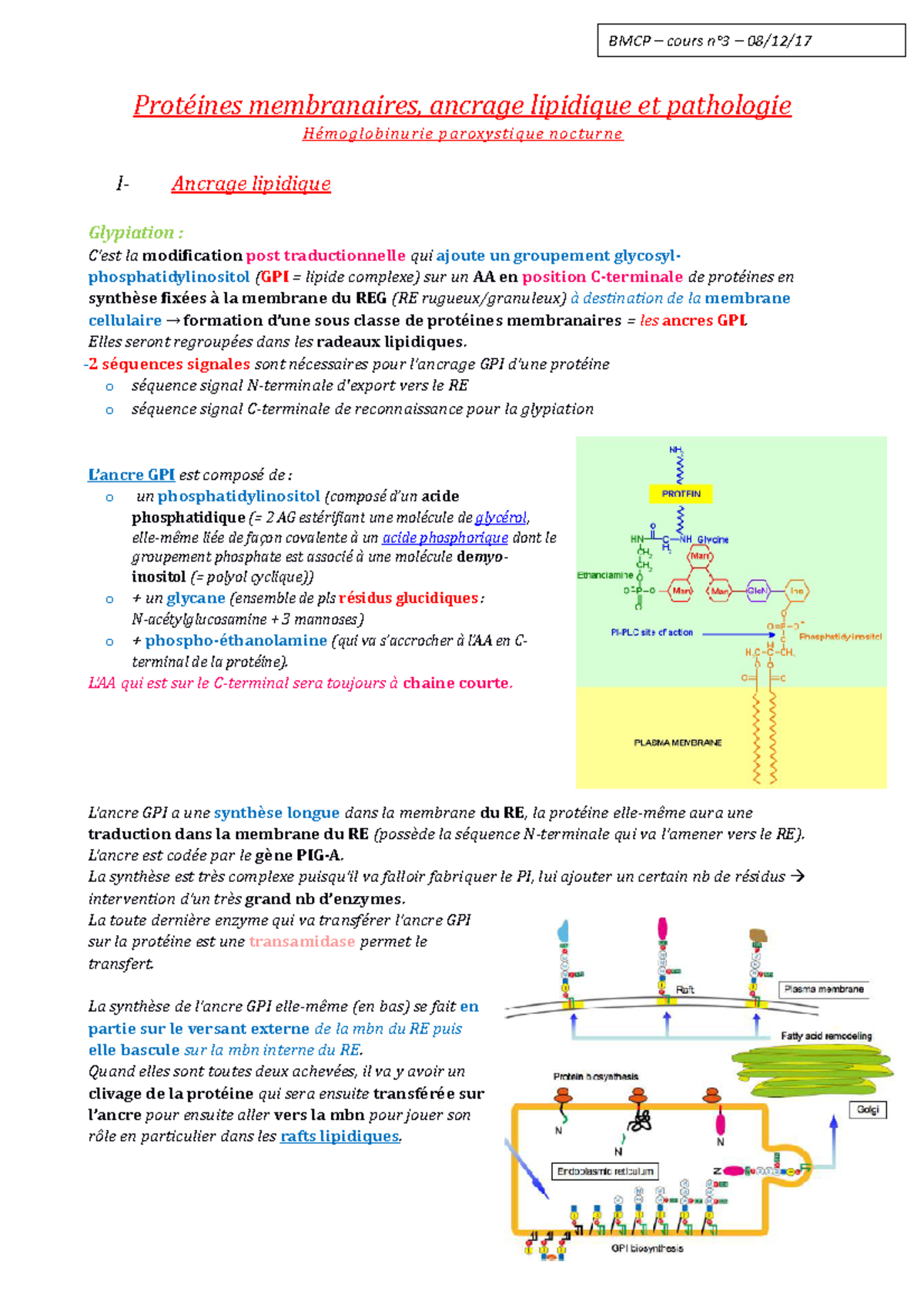C3 - Protéines Memb. et Pathologie : Glypiation & Hémoglobinurie ...