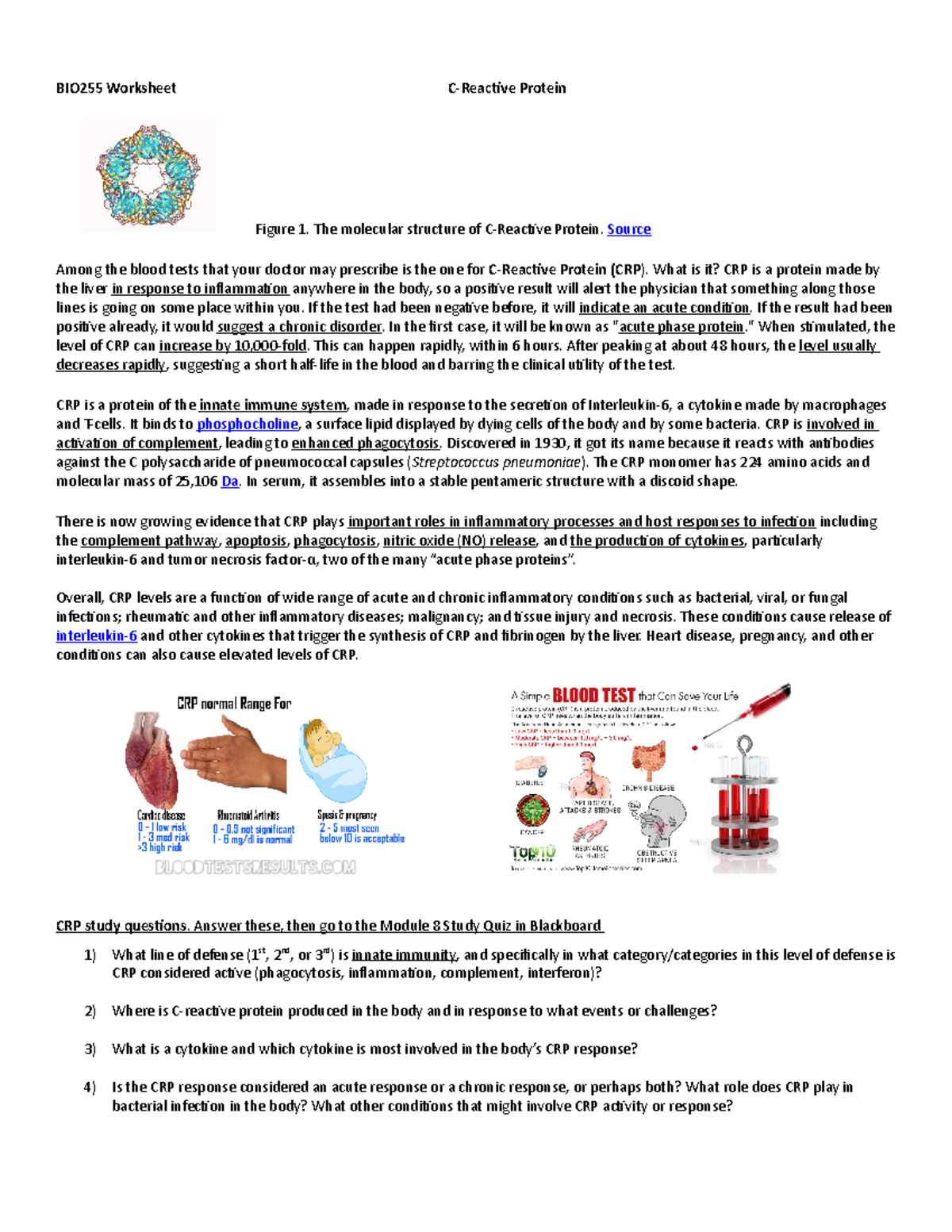 C-reactive Protein Worksheet - BIO255 Worksheet C-Reactive Protein ...