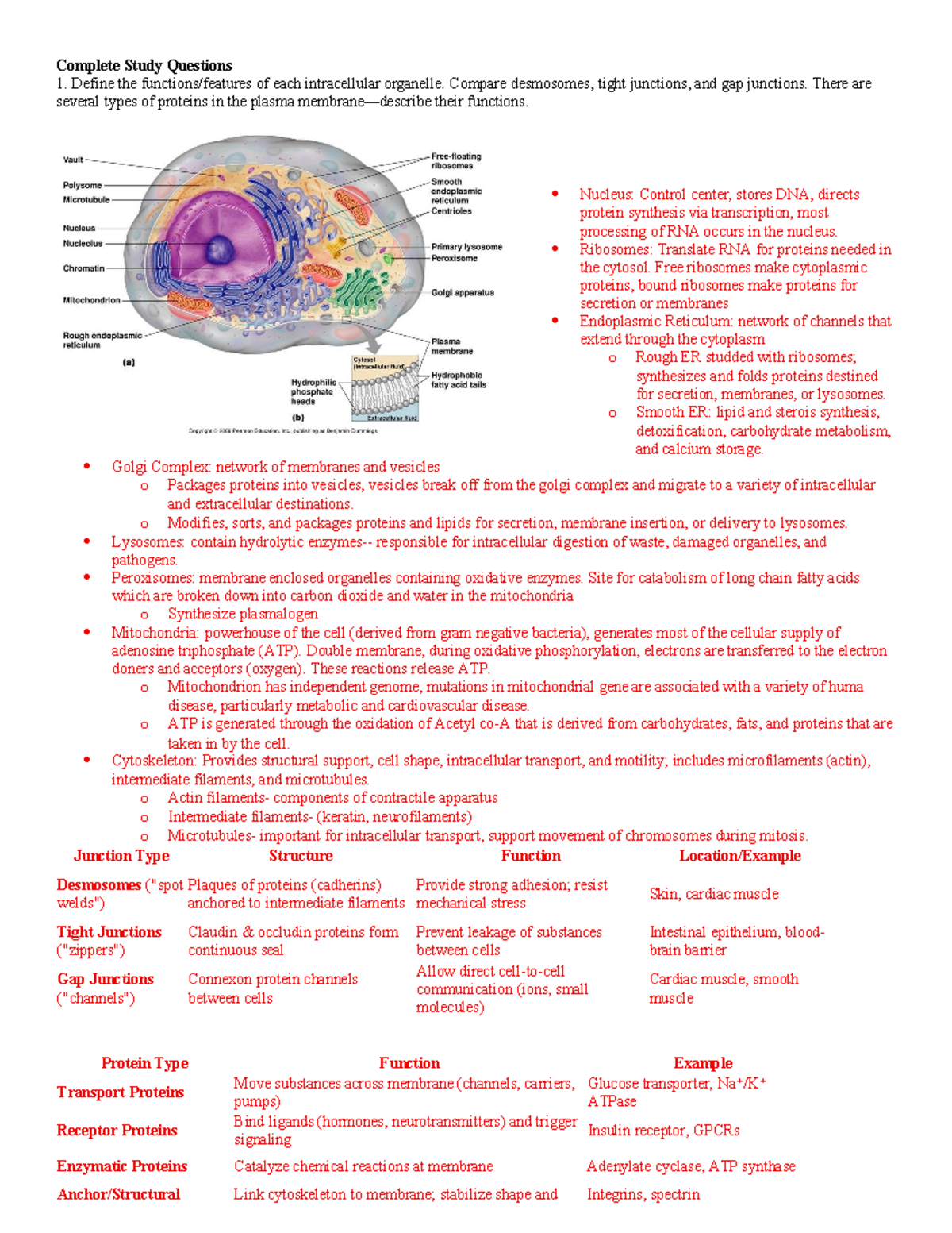 Cell Transport Mechanisms & Signal Transduction: BIO166 Lecture Notes ...