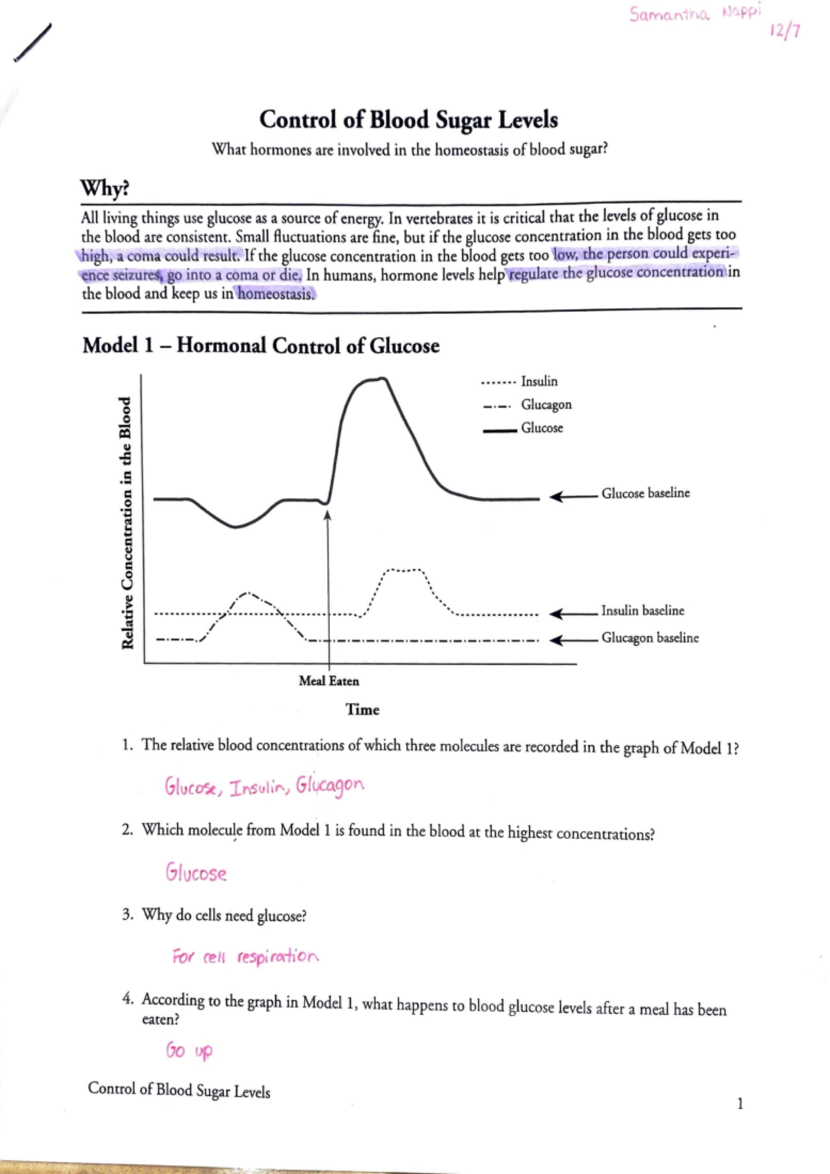 Control of blood sugar levels - / ####### Control of Blood Sugar Levels ...