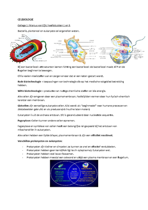 [Solved] Wat is het verschil tussen prokaryoten en eukaryoten ...