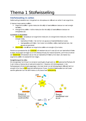 Gedragsonderzoek Huiskat: Ethogram en Protocol Biologie V5a - Studeersnel
