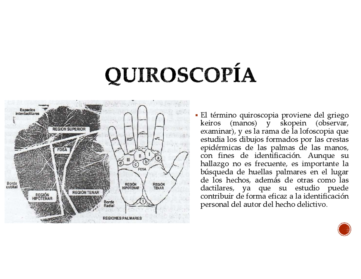 Estudio sobre Quiroscopía y Queiloscopía: Clasificación y Tipos - Studocu