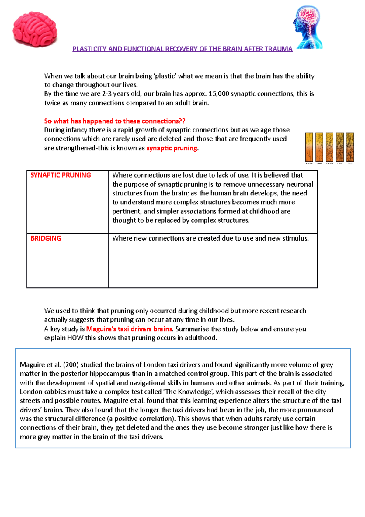 Plasticity worksheet - n/a - PLASTICITY AND FUNCTIONAL RECOVERY OF THE ...