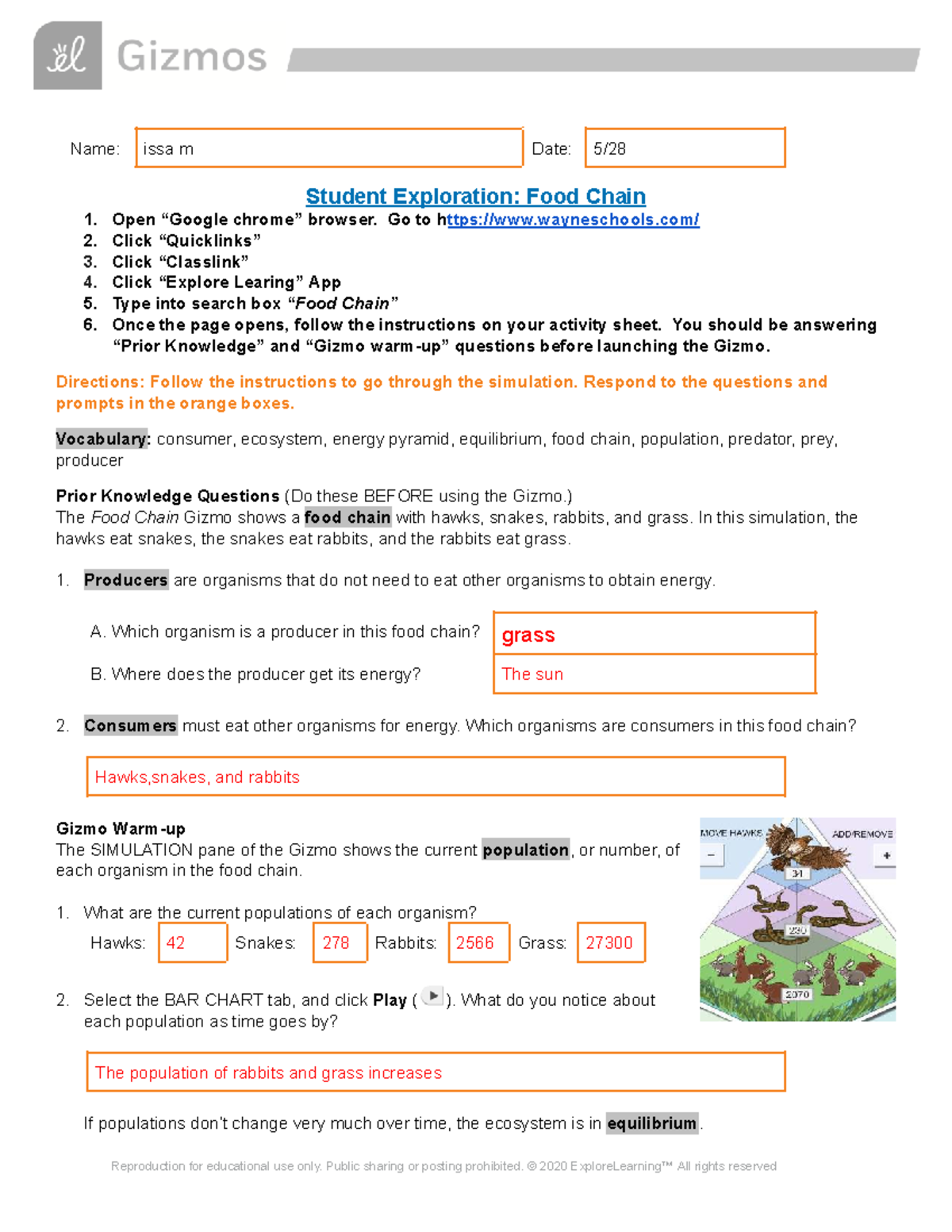 Food Chain Gizmo Exploration: Understanding Ecosystem Dynamics - Studocu