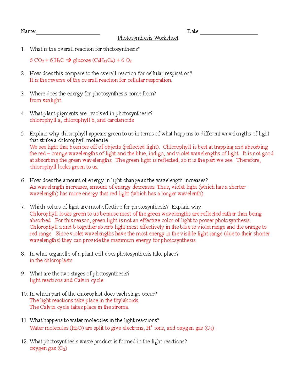Photosynthesis review packet complete w answers - answer key ...