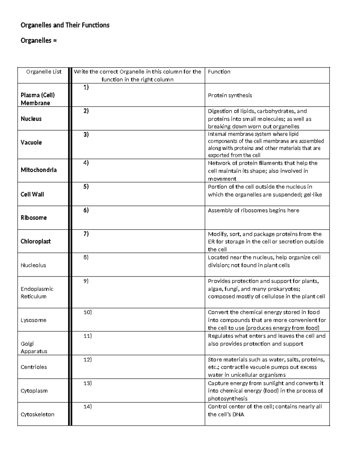 Organelles and Their Functions: A Comprehensive Guide - Studocu