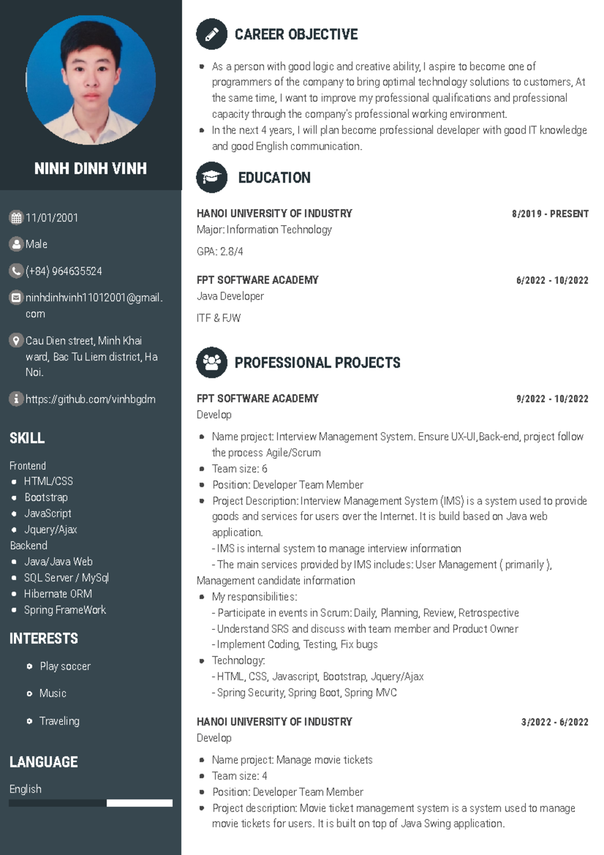 CV-Java-Developer Overview - Skills & Projects - Studocu