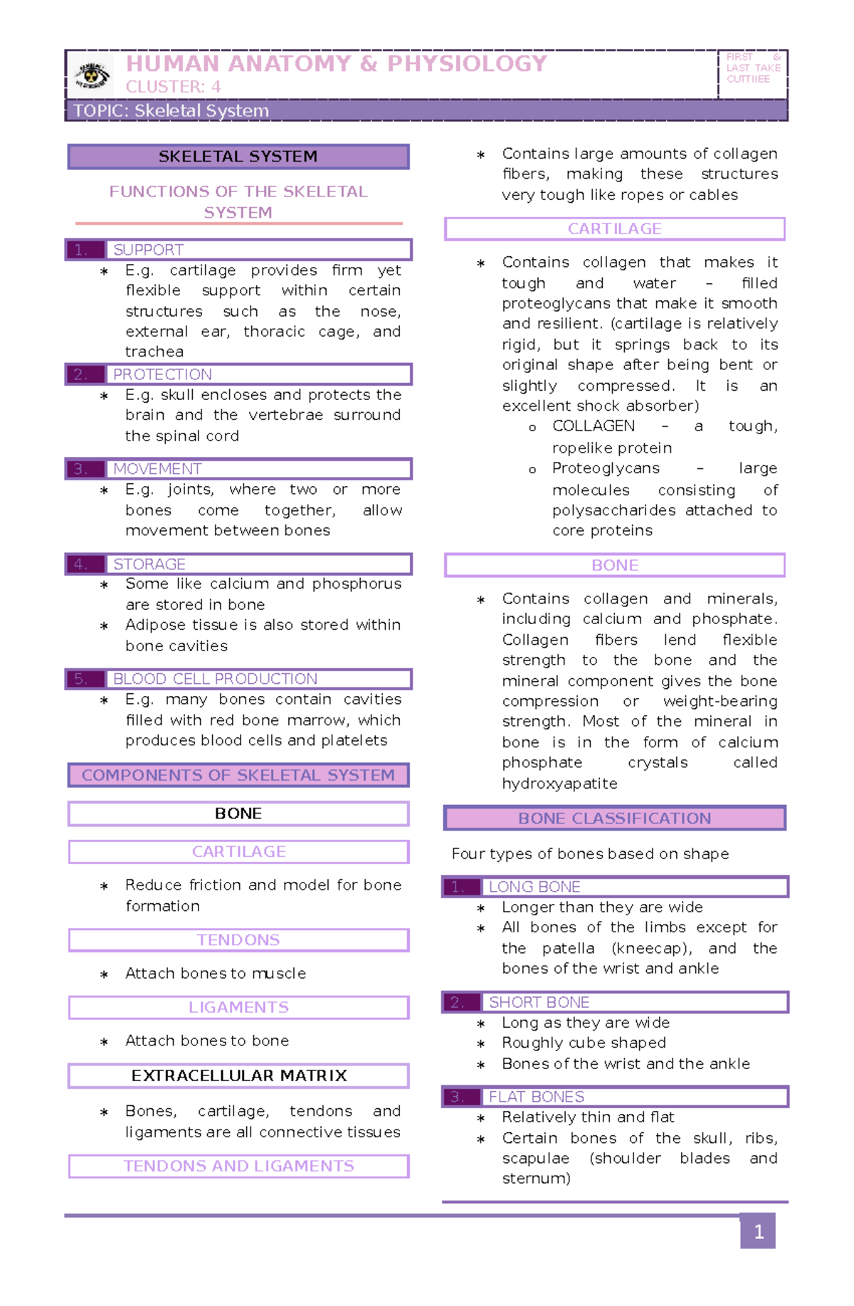 HUMAN ANATOMY PHYSIOLOGY CLUSTER: 4 SKELETAL SYSTEM OVERVIEW - Studocu