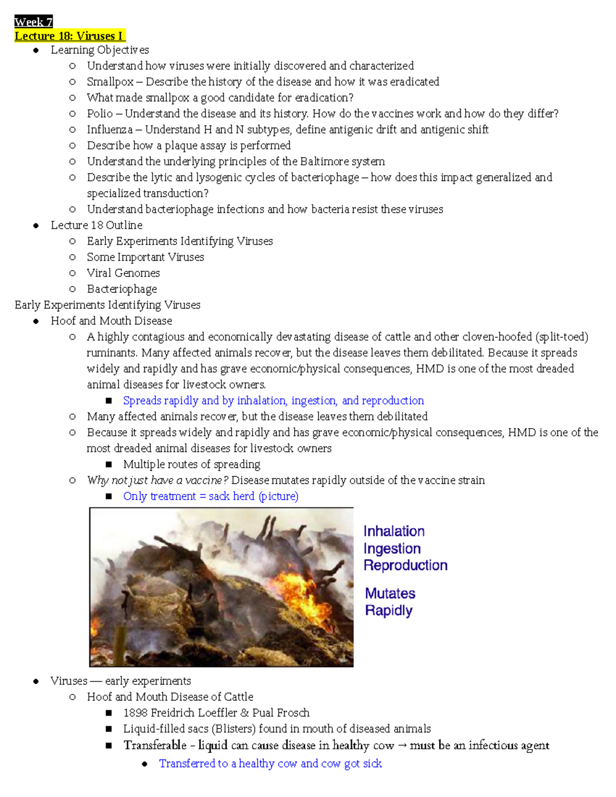MIMG 101 Final Exam Study Guide: Viruses Overview & Mechanisms - Studocu