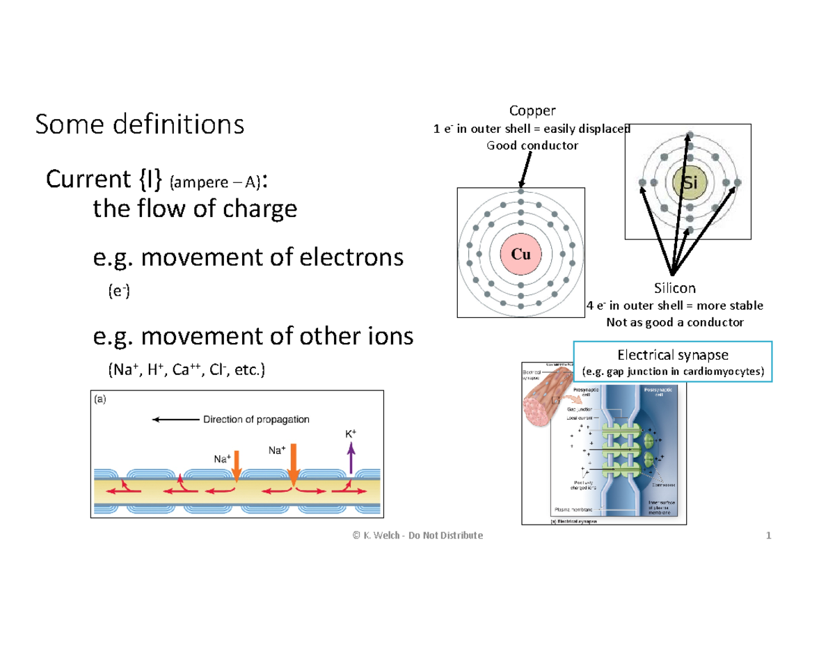BIOB34 Module 7 - Excitable Membranes and Neural Circuits - Lecture ...