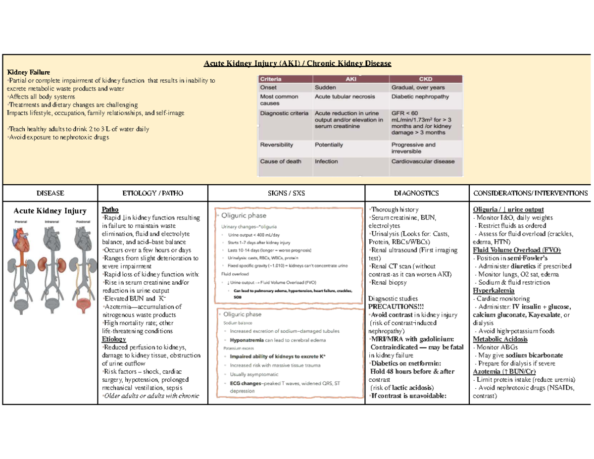 Renal Pathophysiology: Acute Kidney Injury (AKI) Overview and ...