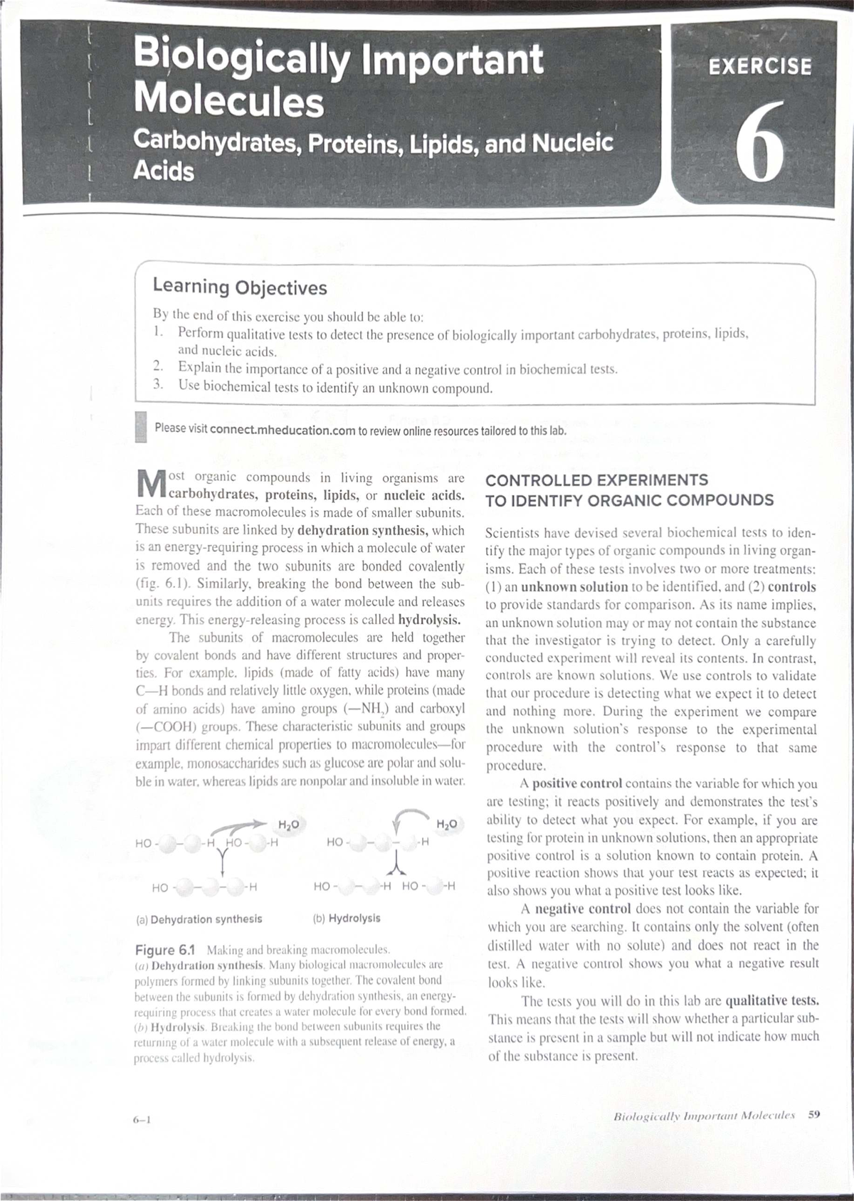 Biological Molecules Lab: Carbohydrates, Proteins, Lipids, and Nucleic ...