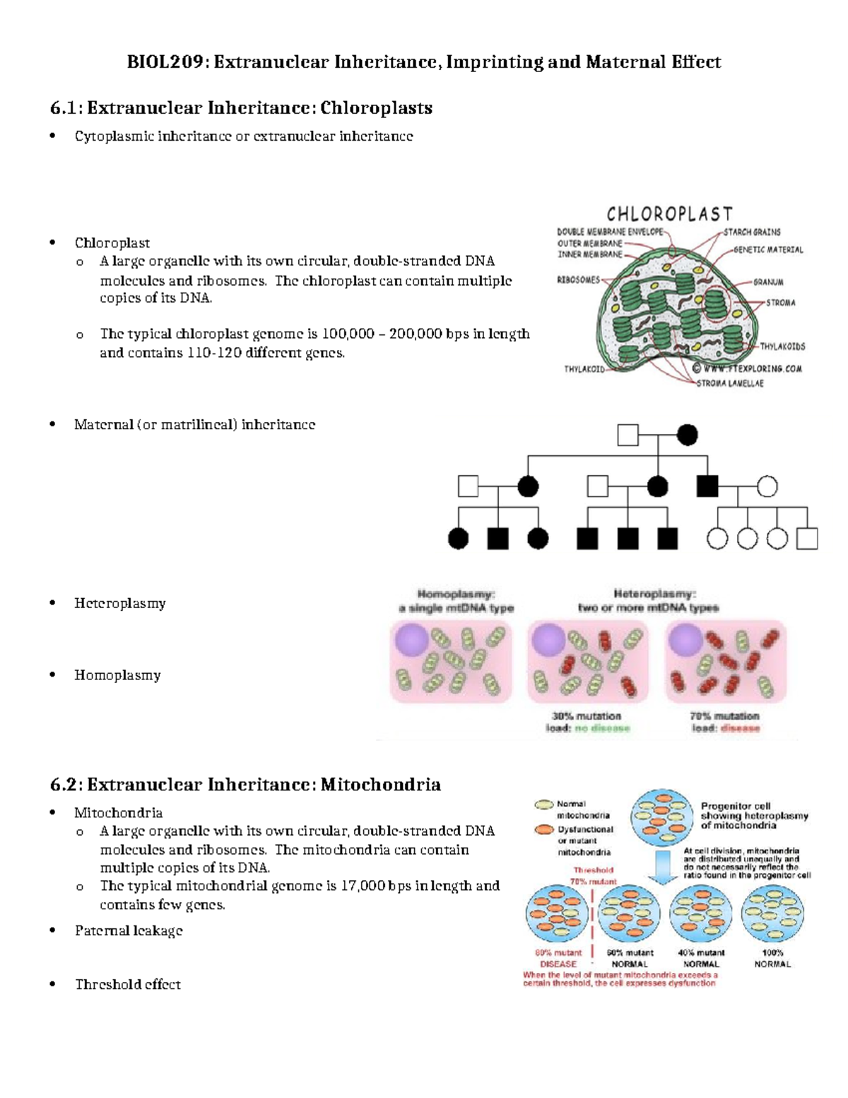 BIOL209: Study Guide on Extranuclear Inheritance & Maternal Effects ...