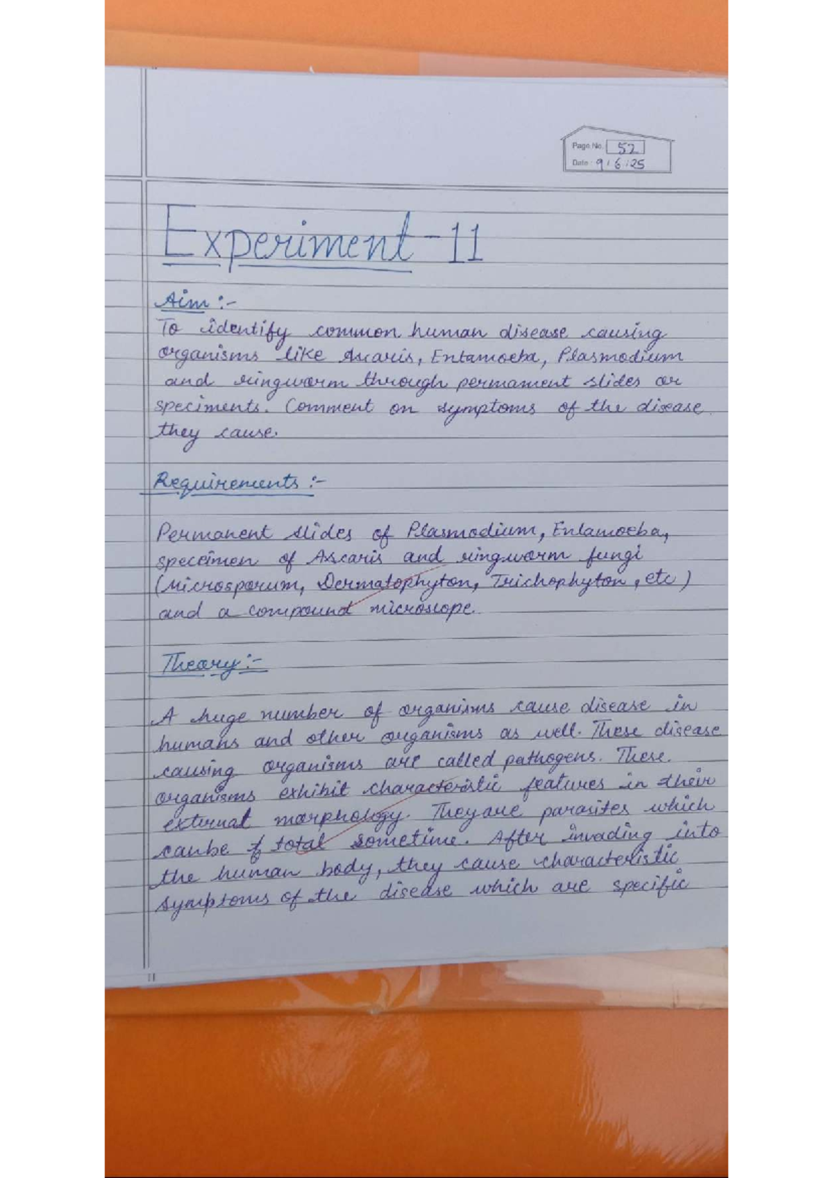 Human Pathogens: Identifying Ascaris, Entamoeba, Plasmodium & Ringworm ...