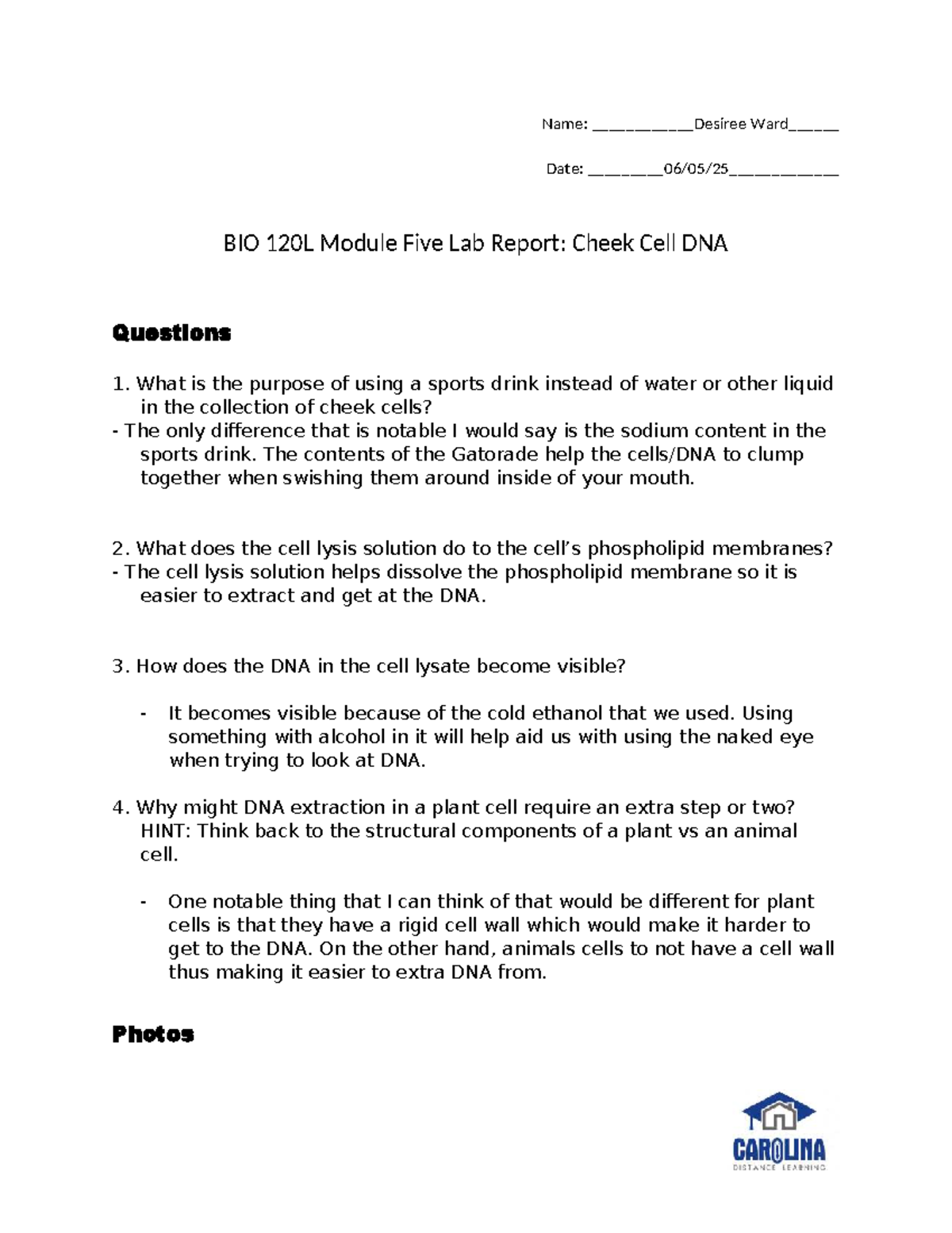 BIO 120L Module 5 Lab Report: Cheek Cell DNA Extraction Insights - Studocu