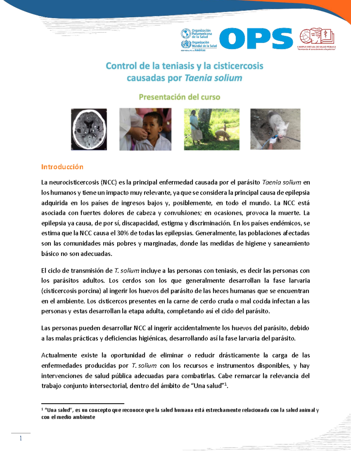 Programa de Control de Teniasis y Cisticercosis por T. solium - OPS ...