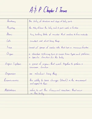Ch. 1-5 Anatomy and Physiology Flashcards Quizlet - Ch. 1-5 Anatomy and ...