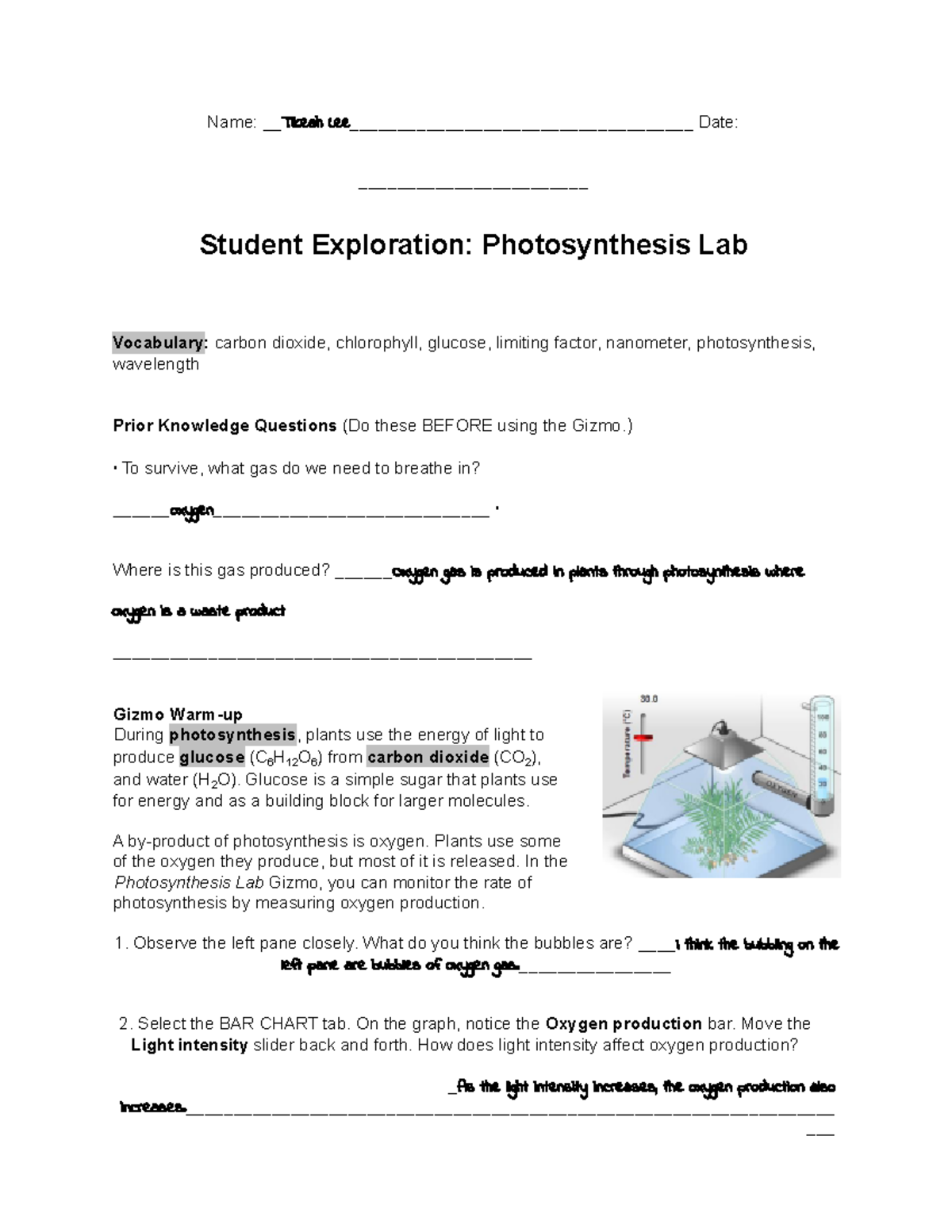 Photosynthesis Lab Exploration - Complete Guide and Observations - Studocu