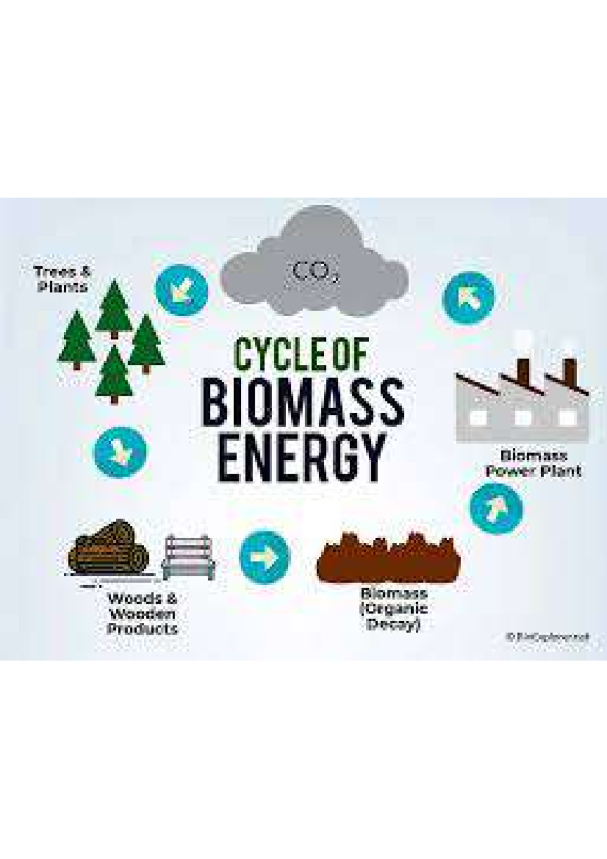 Bio - bio - STEM-11 Earth Science - Trees Plants CYCLEOF BIOMASS ENERGY ...