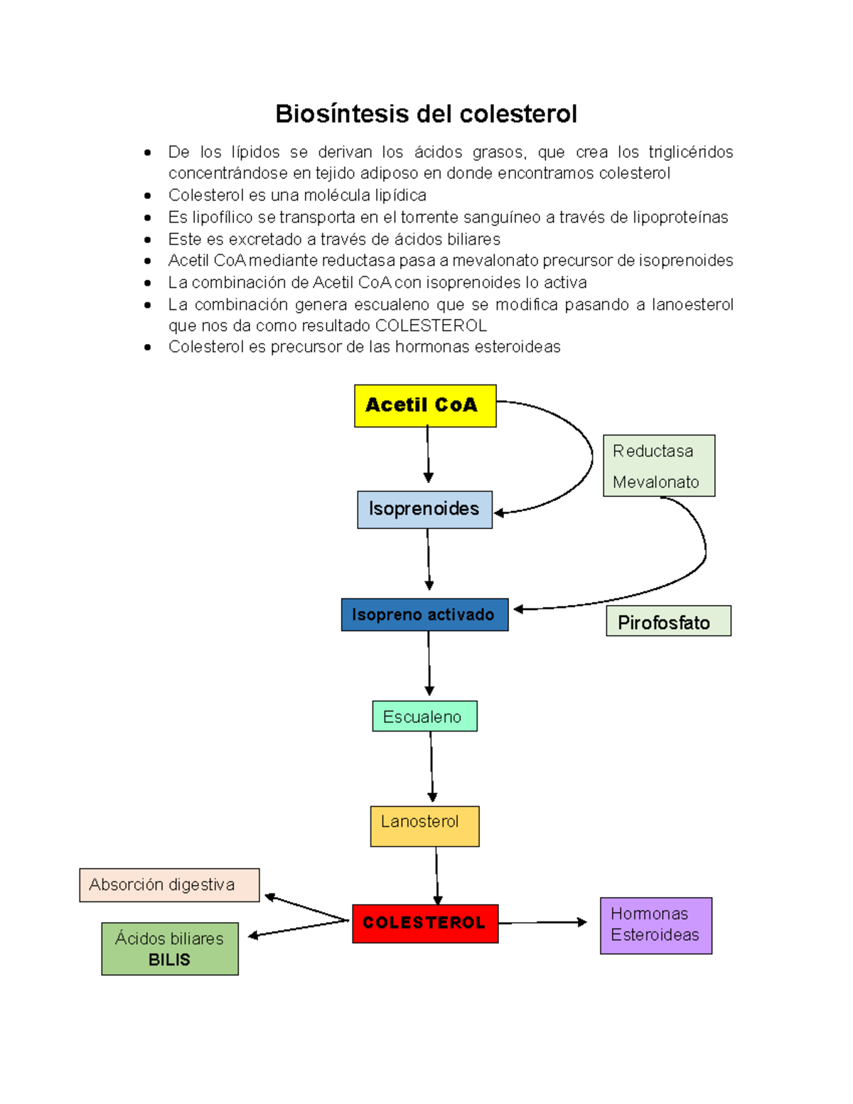 Biosíntesis del colesterol - Biosíntesis del colesterol • De los ...
