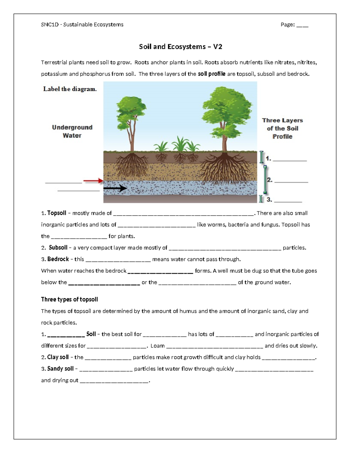 SNC1D Sustainable Ecosystems: Soil and Ecosystems Notes V2 - Studocu