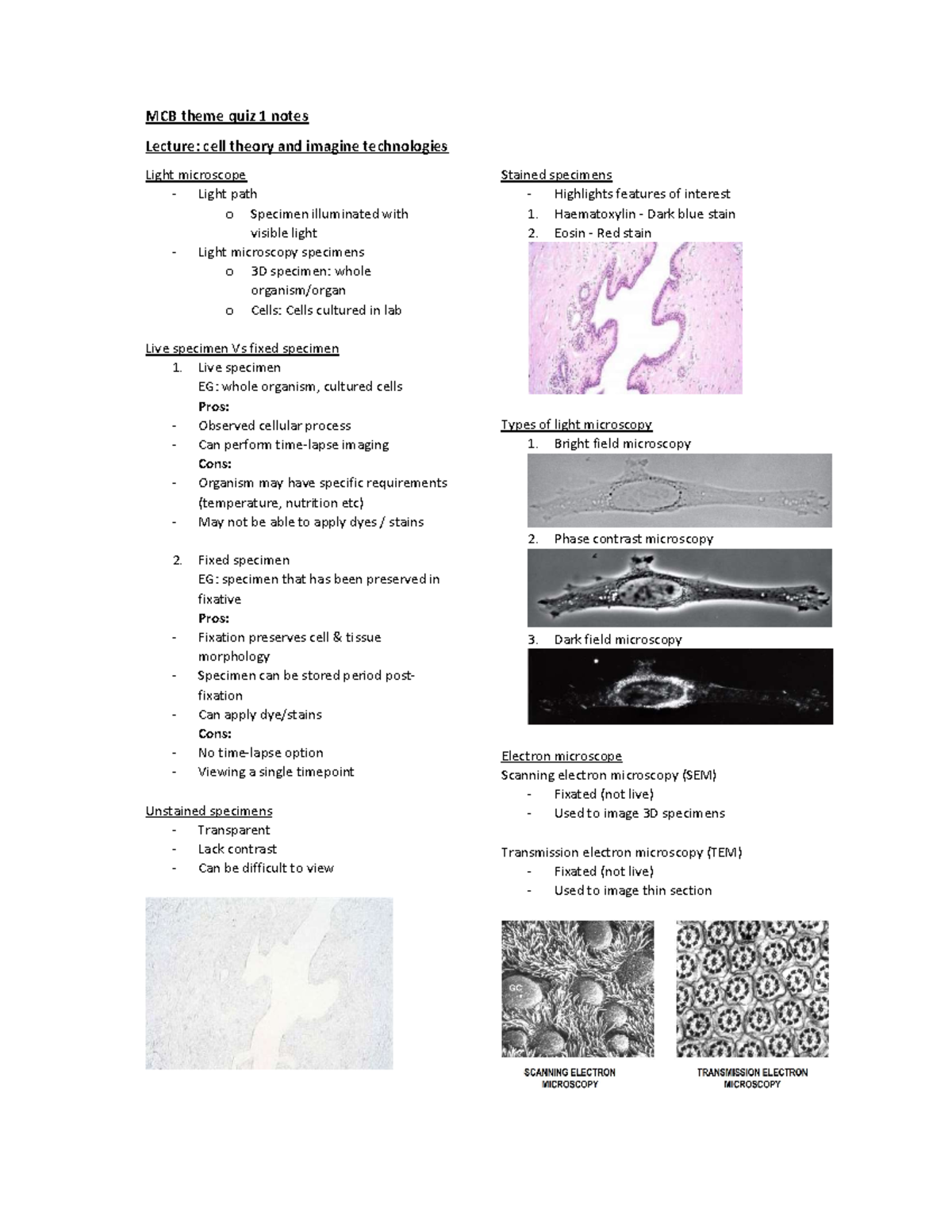 MCB 101 Quiz 1 Study Notes: Microscopy Techniques & Cell Theory - Studocu