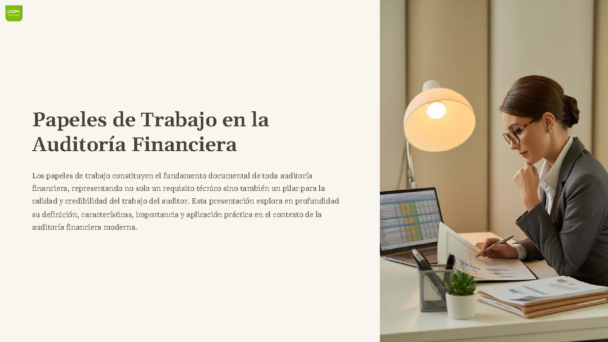 G6 - Papeles de Trabajo en Auditoría Financiera: Definición y ...