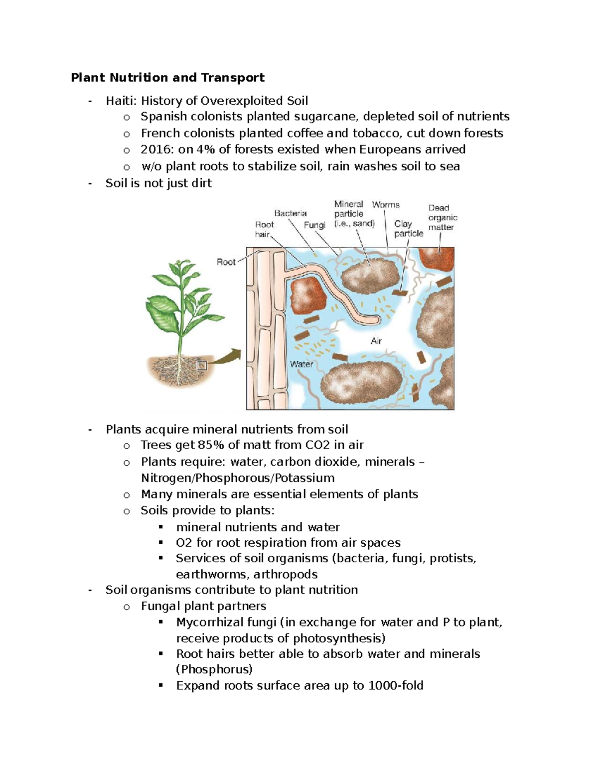 Biology II Exam 2 Study Guide: Plant Nutrition, Transport, and Animal ...