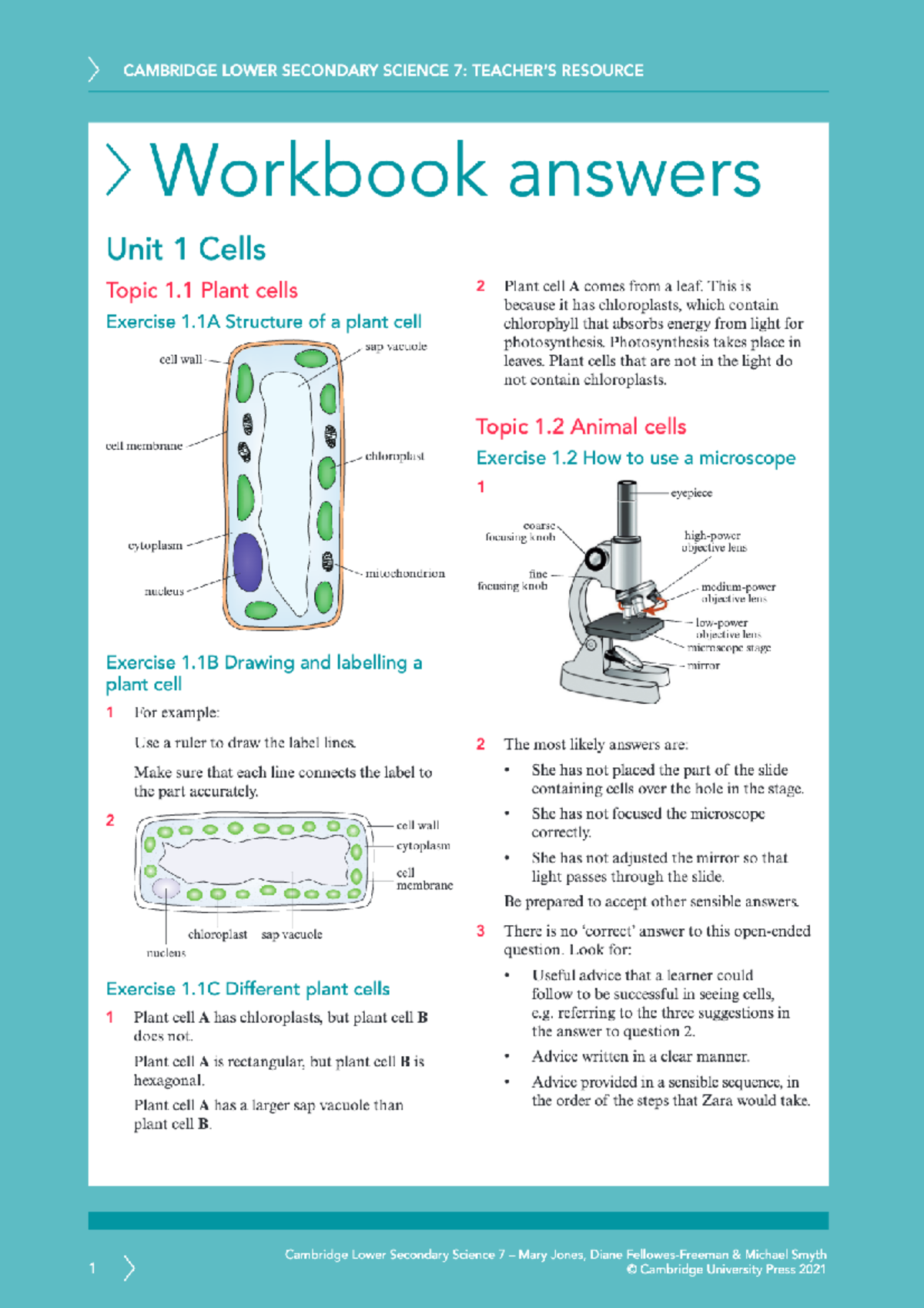 Cambridge Lower Secondary Science 7: Workbook Answers for Unit 1 Cells ...