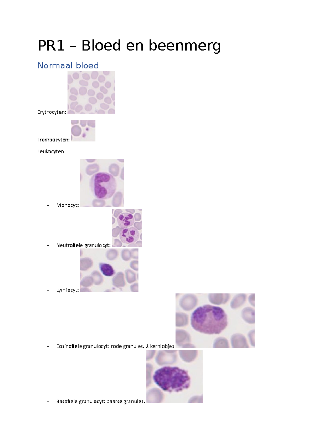 Practicum 1: Bloedcelvorming en Diagnose van Infecties - Studeersnel
